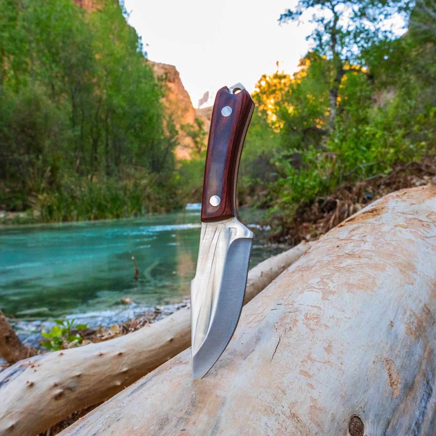 8 Inch Heavy Duty Full Tang Harpoon Point Fixed Blade Knife with Wood ...