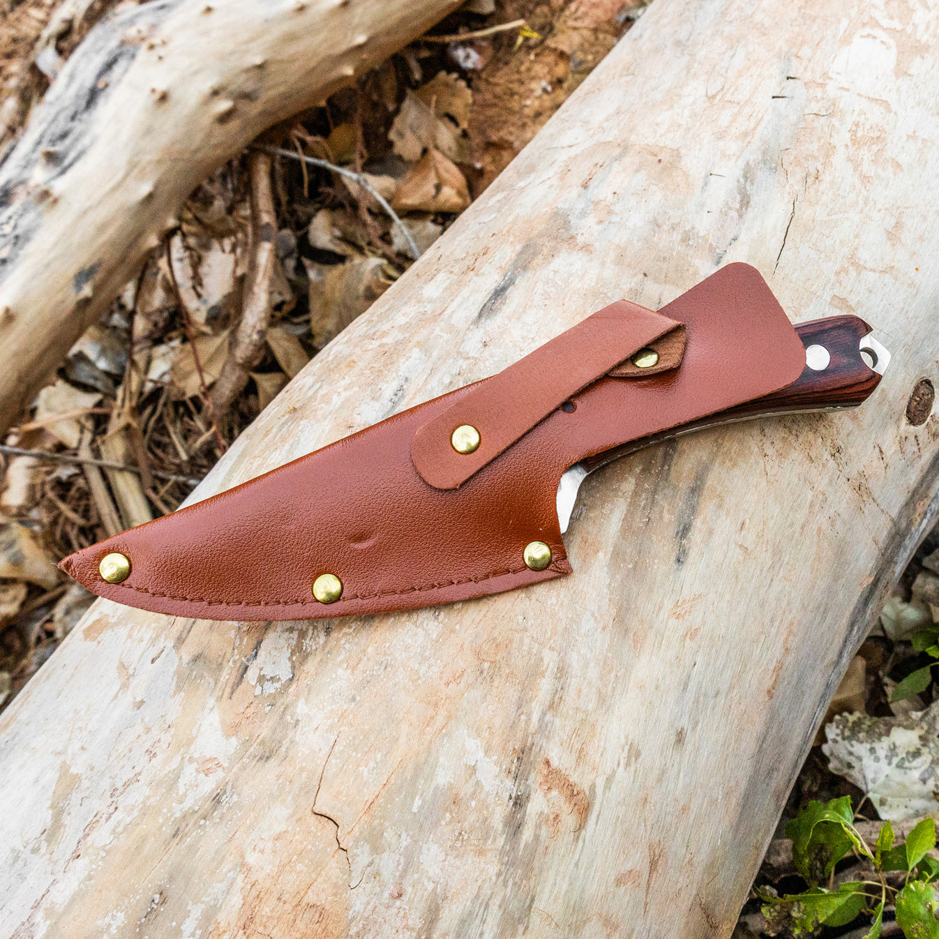 8 Inch Heavy Duty Full Tang Harpoon Point Fixed Blade Knife with Wood ...