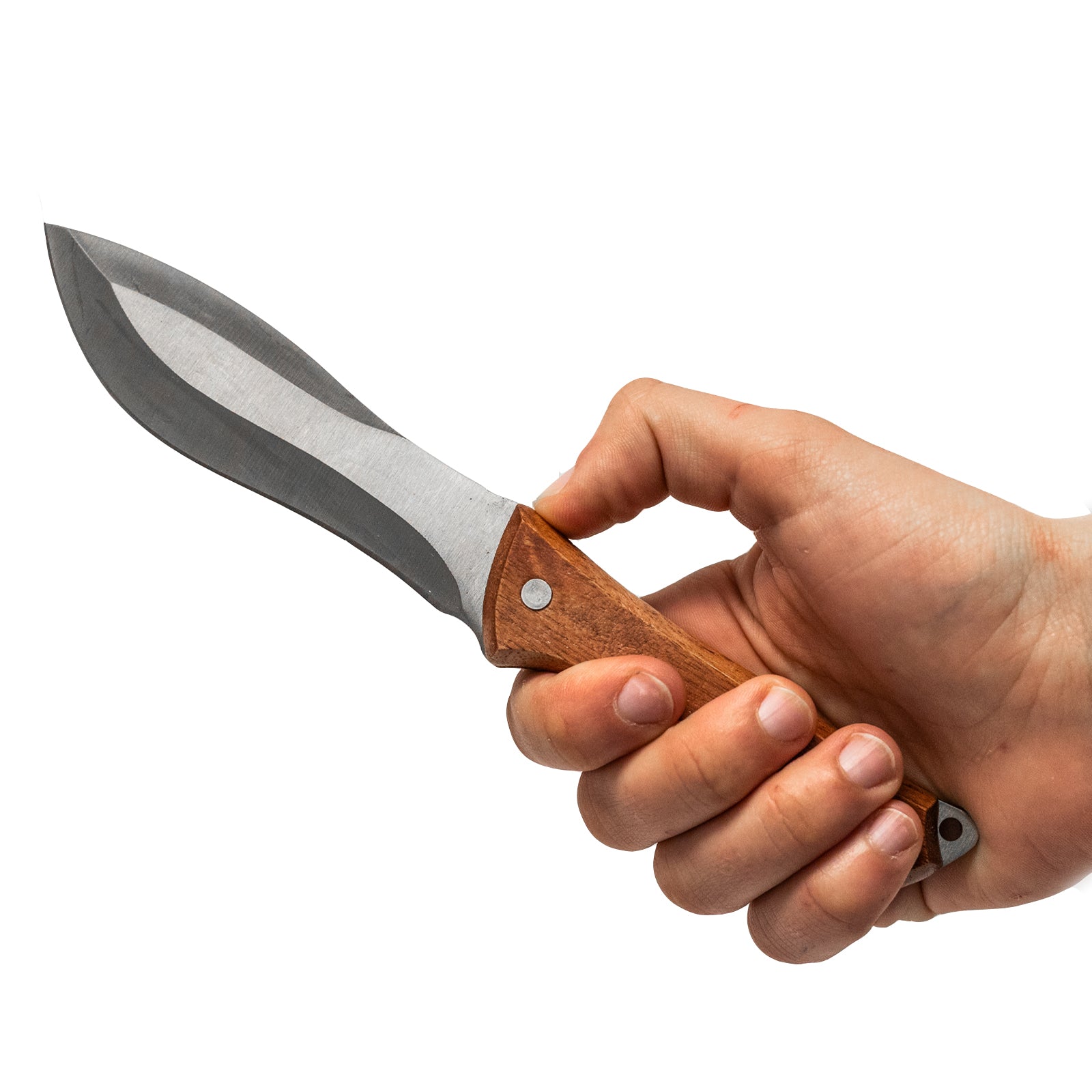 9 Inch 440 Stainless Steel Recurve Full Tang Fixed Blade Knife with Sh ...